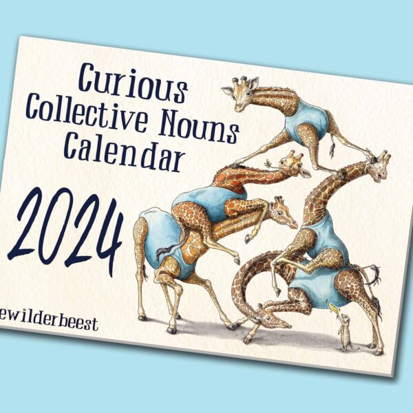 Curious Collective Nouns Calendar 2024 – Bonk & Co
