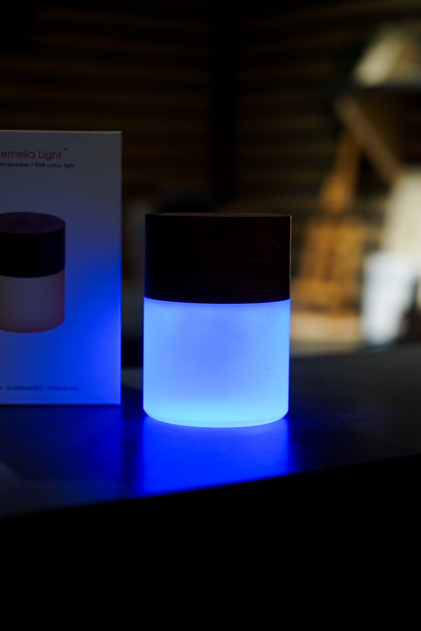 Large Lemelia Light – Bonk & Co